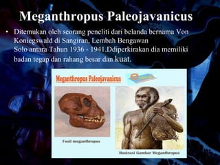Sejarah Manusia Purba | PPTX
