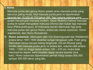 Sejarah (ciri ciri, fosil manusia purba indonesia dan asia) | PPTX