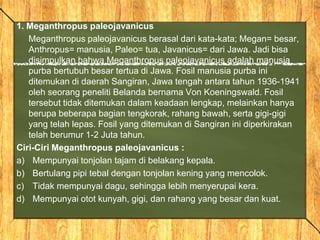 Sejarah (ciri ciri, fosil manusia purba indonesia dan asia) | PPT ...