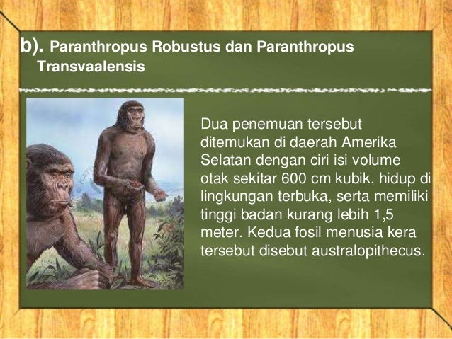 Sejarah (ciri ciri, fosil manusia purba indonesia dan asia)