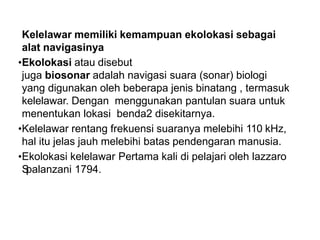 Sejarah dan Perkembangan USG (1).pptx