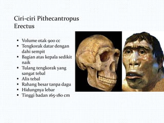 SEJARAH INDONESIA.pptx