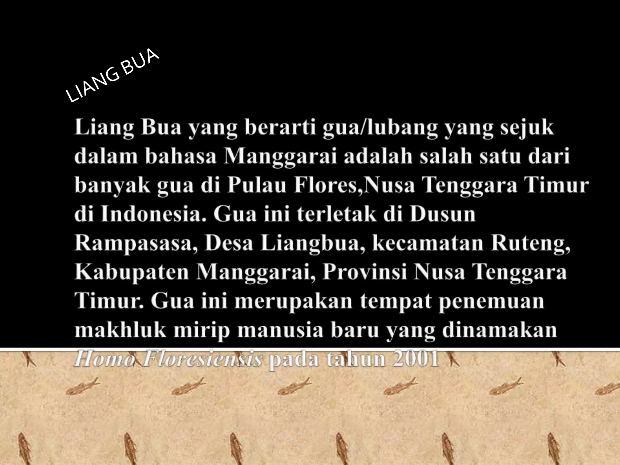 PPT Sejarah indo-Manusia Liang Bua | PPTX