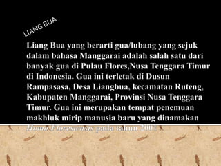 PPT Sejarah indo-Manusia Liang Bua | PPTX