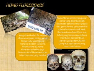 PPT Sejarah indo-Manusia Liang Bua | PPTX