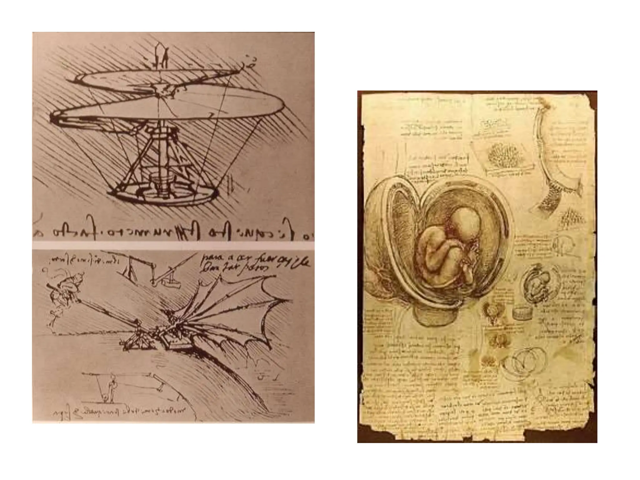 SEJARAH SENI RUPA DUNIA #5 RENAISSANCE (Baru).pptx