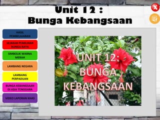 Sejarah tahun 5 bunga kebangsaan | PDF