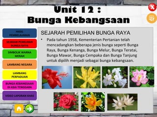 Sejarah tahun 5 bunga kebangsaan | PDF