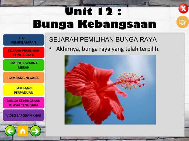 Sejarah tahun 5 bunga kebangsaan | PDF