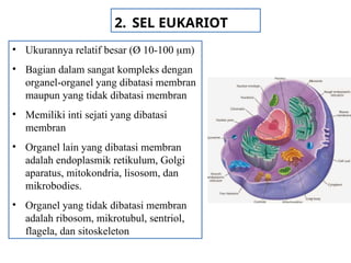 Materi Biologi Sejarah Teori dan Jenis Sel | PPT