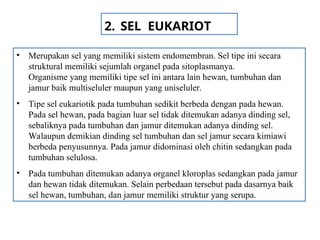 Materi Biologi Sejarah Teori dan Jenis Sel | PPT