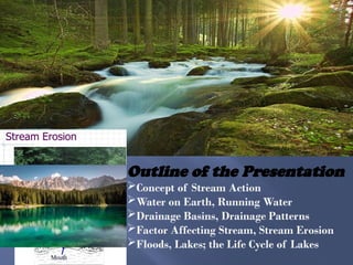 Presentation on Stream Action Perspectives and Cycles | PPT