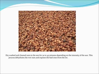 THE 10 STEPS OF PROCESSSING PREMIUM QUALITY HANDMADE SHEA BUTTER | PPT