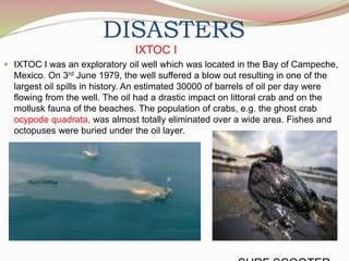 ENVIRONMENTAL IMPACTS OF OIL INDUSTRIES | PPTX