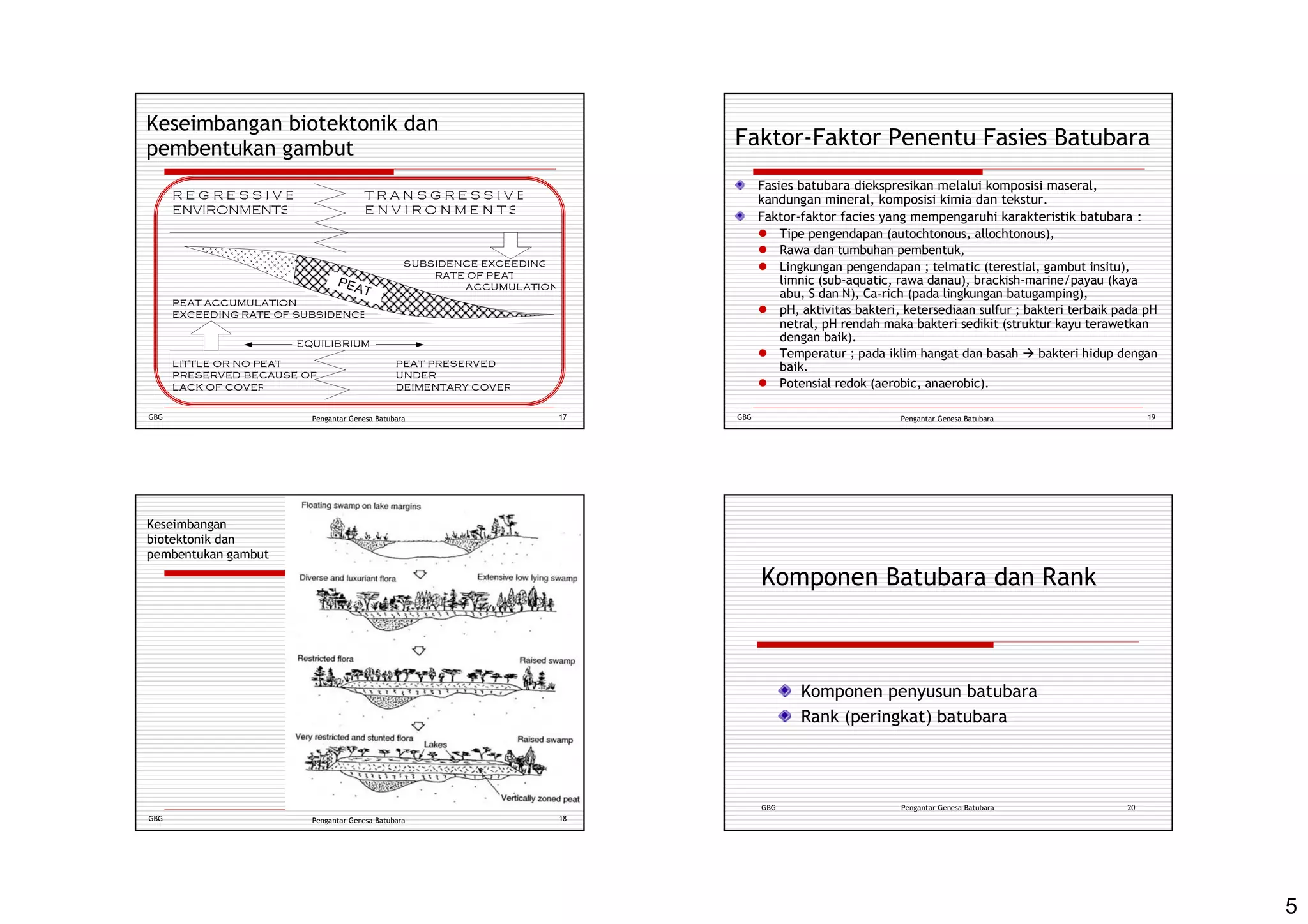 Sekilas genesa coal | PDF