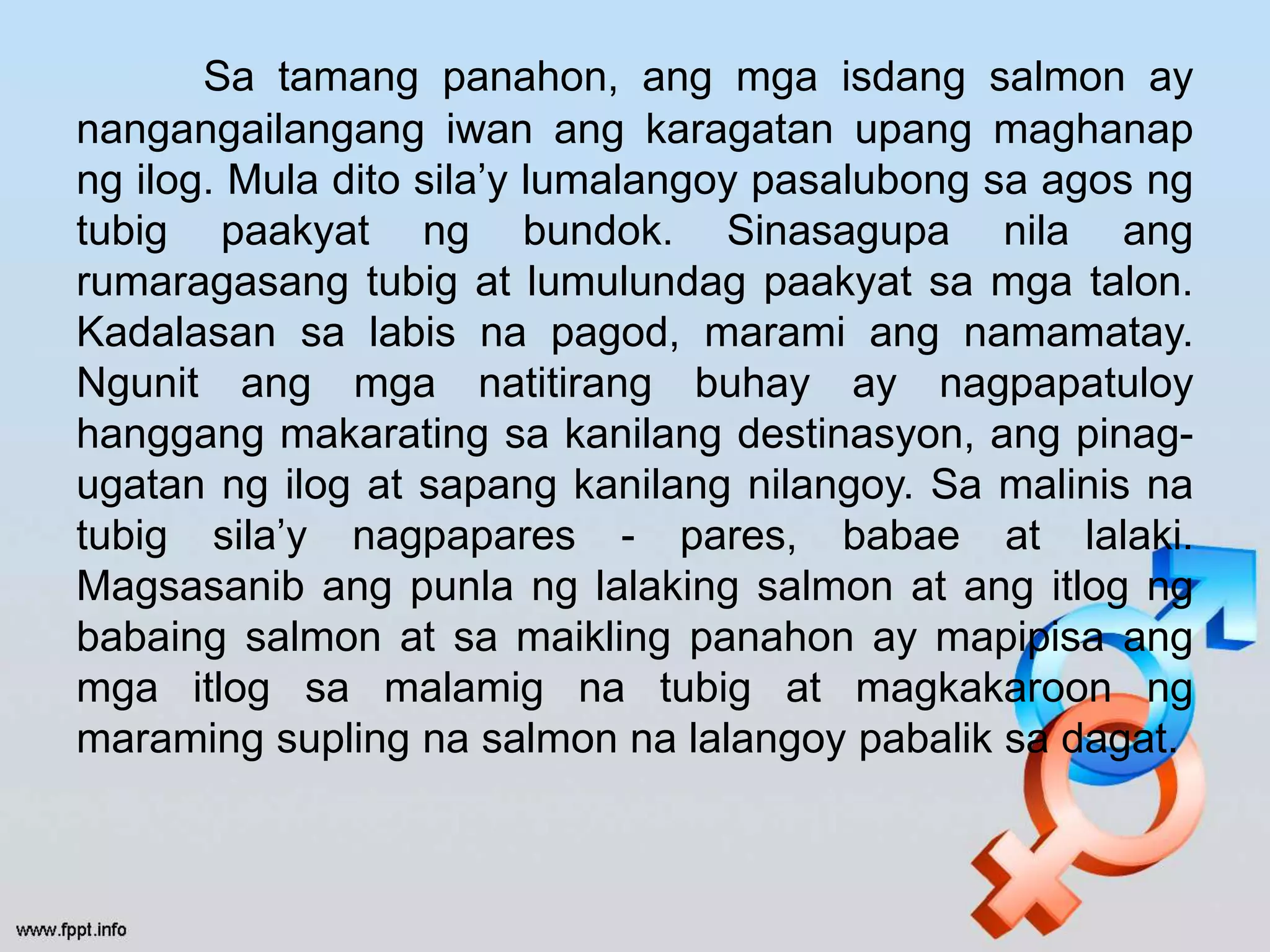 SEKSWALIDAD NG TAO.ppt