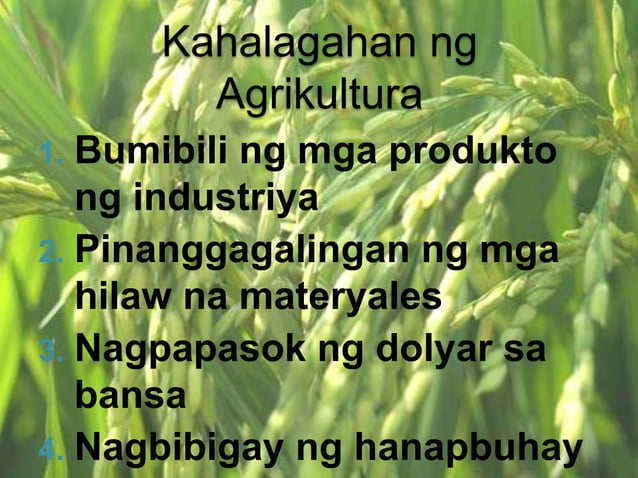 sektor-ng-agrikultura.ppt