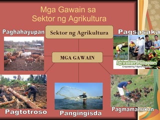 Sektor ng agrikultura | PPT
