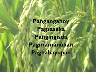Sektor ng agrikultura | PPT