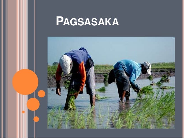 Sektor Ng Agrikultura