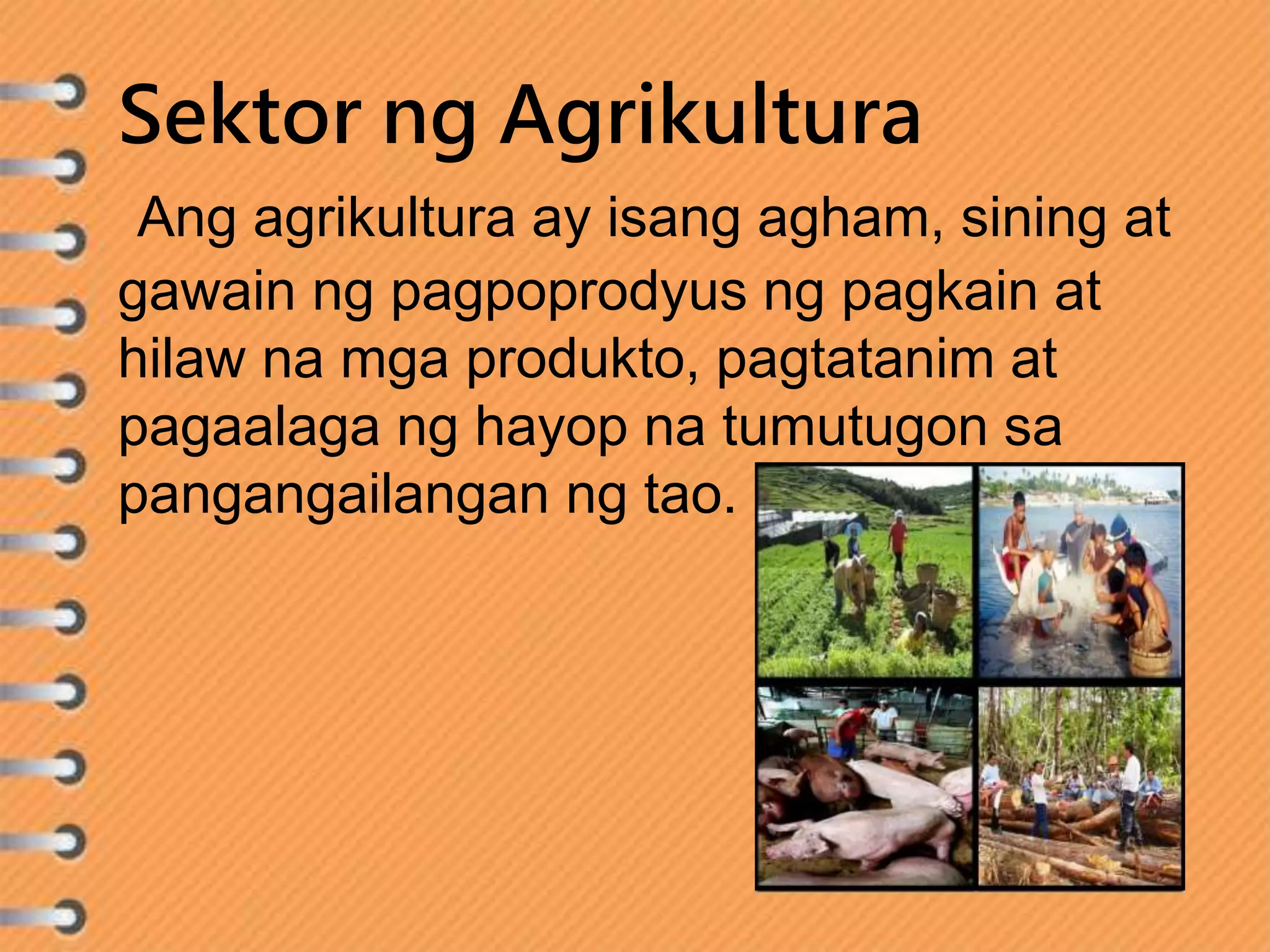 SEKTOR NG AGRIKULTURA.pptx