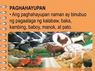 SEKTOR NG AGRIKULTURA.pptx