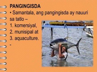 SEKTOR NG AGRIKULTURA.pptx