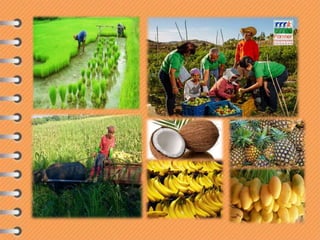 SEKTOR NG AGRIKULTURA.pptx