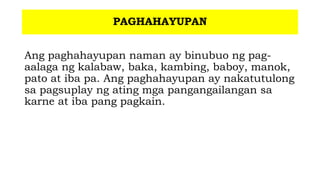 Sektor ng Agrikultura.pptx