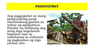 Sektor ng Agrikultura.pptx