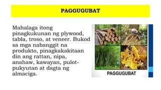 Sektor ng Agrikultura.pptx