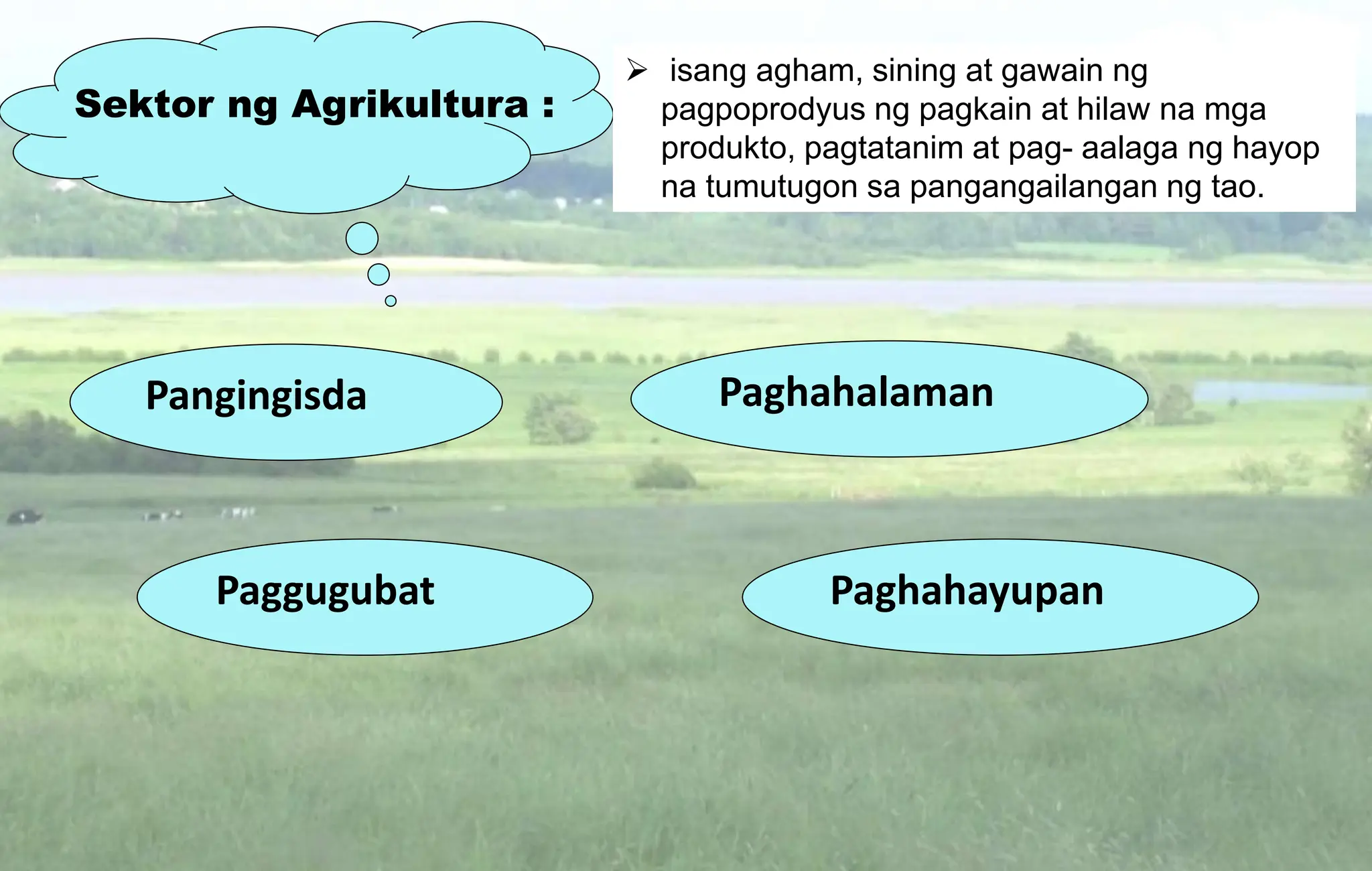 topiko tungkol sa Sektor ng Agrikultura- Grade 10 | PPTX