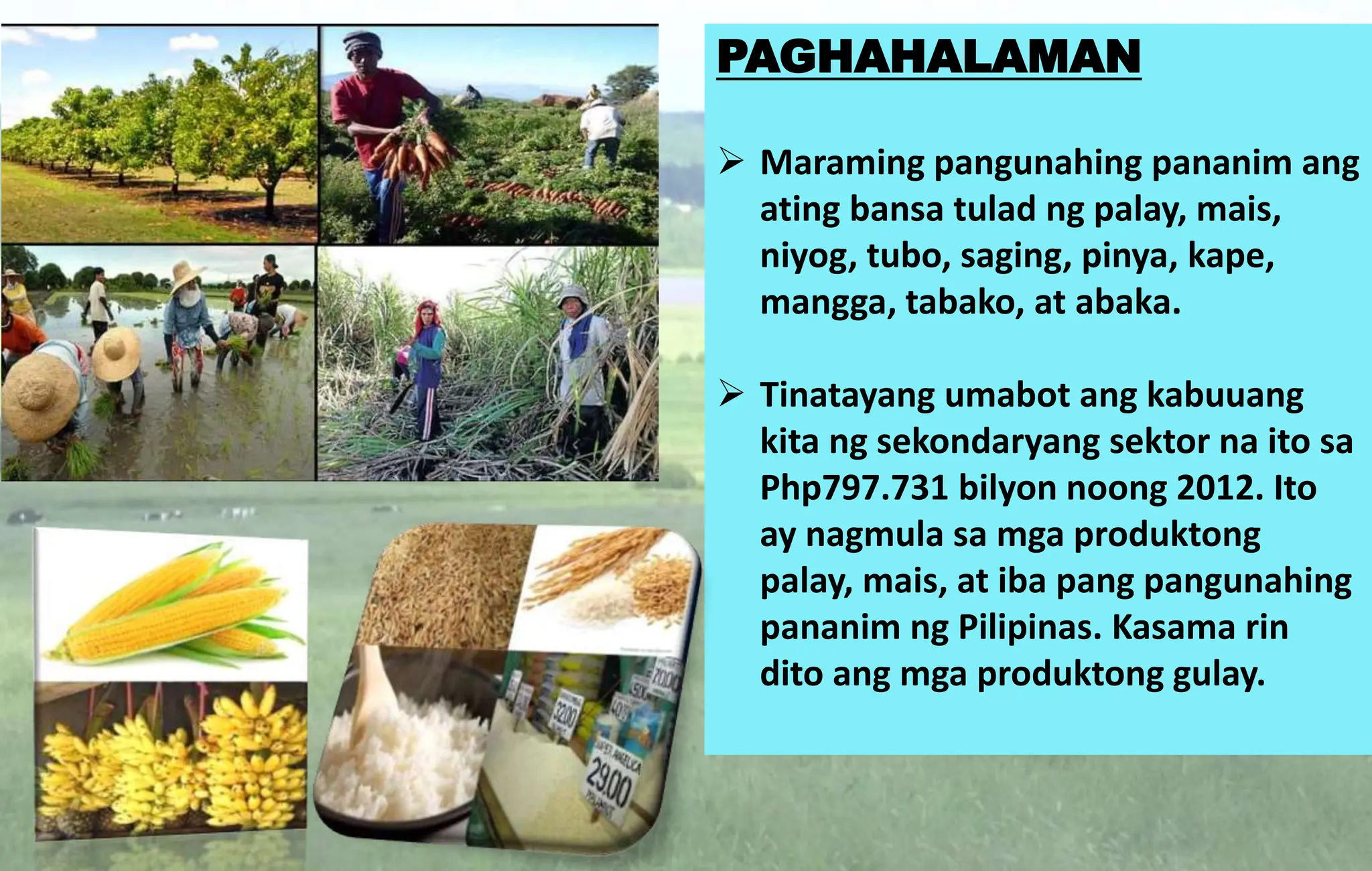 topiko tungkol sa Sektor ng Agrikultura- Grade 10 | PPTX