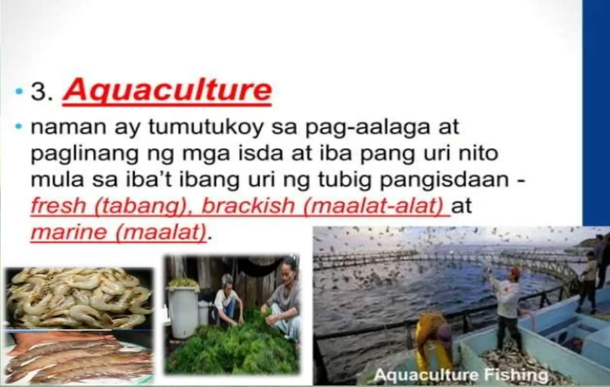 topiko tungkol sa Sektor ng Agrikultura- Grade 10 | PPTX