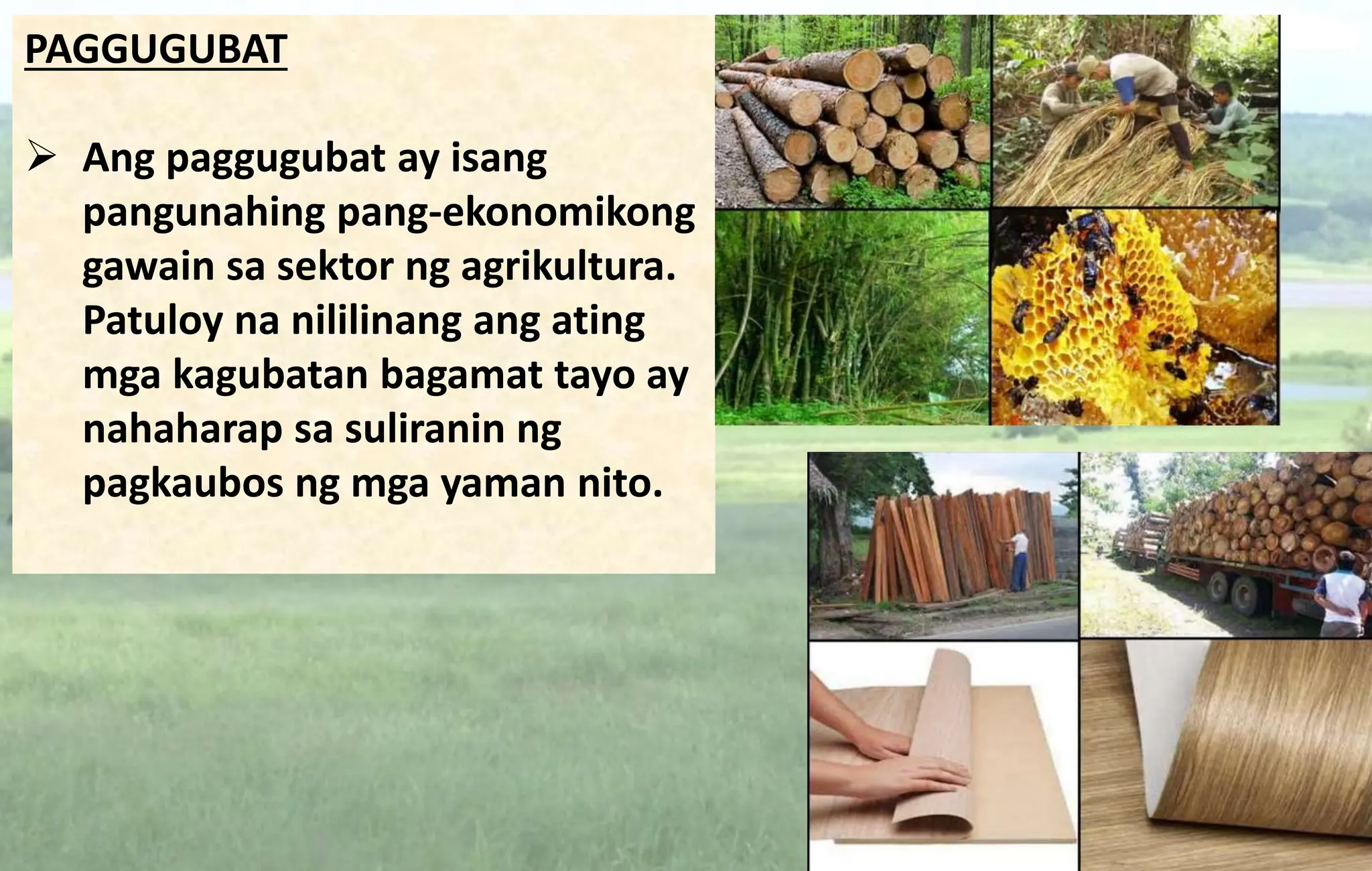 topiko tungkol sa Sektor ng Agrikultura- Grade 10 | PPTX