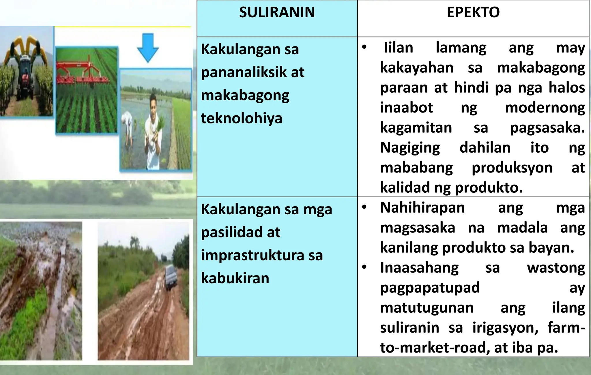 topiko tungkol sa Sektor ng Agrikultura- Grade 10 | PPTX