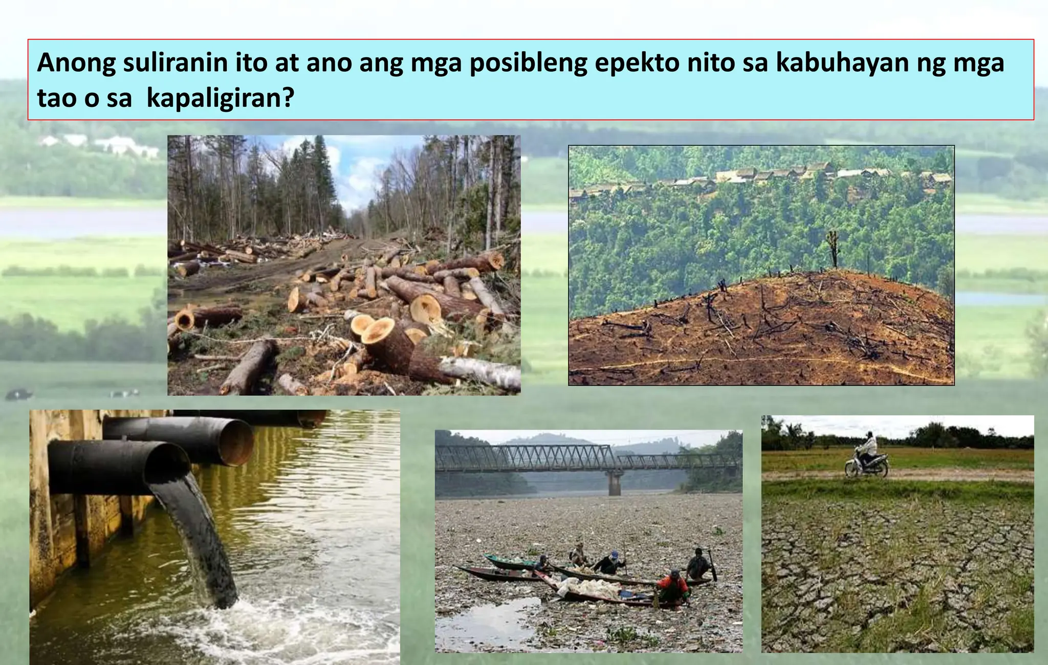 topiko tungkol sa Sektor ng Agrikultura- Grade 10 | PPTX