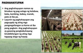 topiko tungkol sa Sektor ng Agrikultura- Grade 10 | PPTX