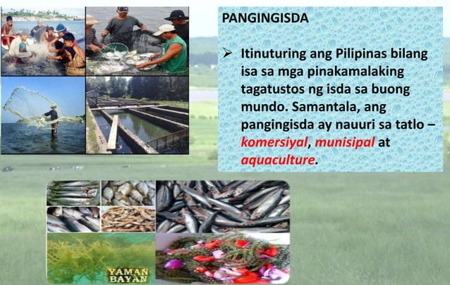 topiko tungkol sa Sektor ng Agrikultura- Grade 10 | PPTX