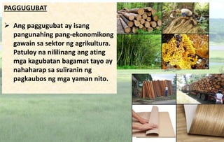 topiko tungkol sa Sektor ng Agrikultura- Grade 10 | PPTX