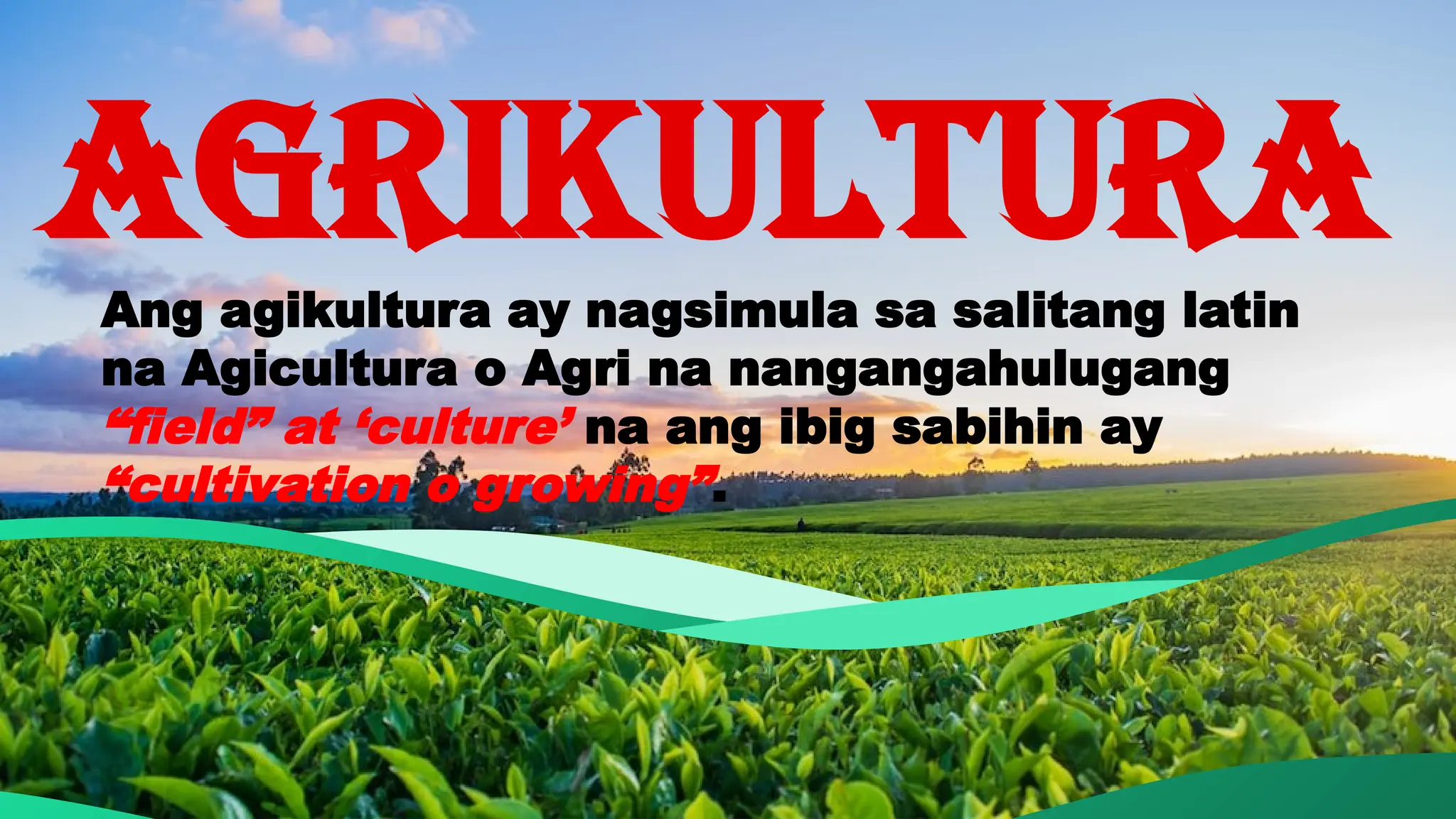 SEKTOR NG AGRIKULTURA ARALING PANLIPUNAN.pptx