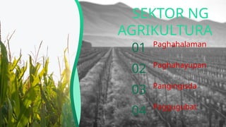 SEKTOR NG AGRIKULTURA ARALING PANLIPUNAN.pptx