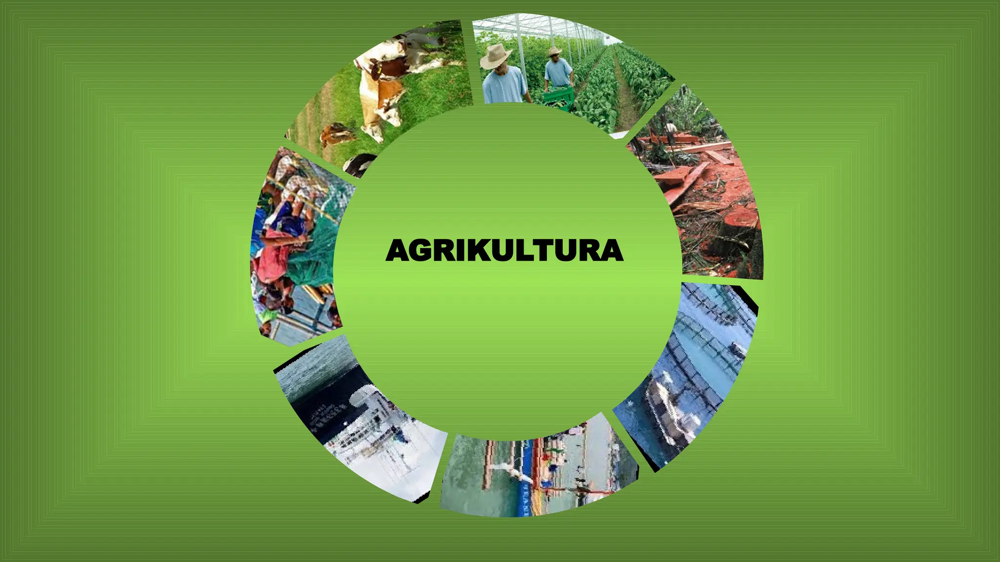 Araling Panlipunan 9-Sektor ng Agrikultura.pptx