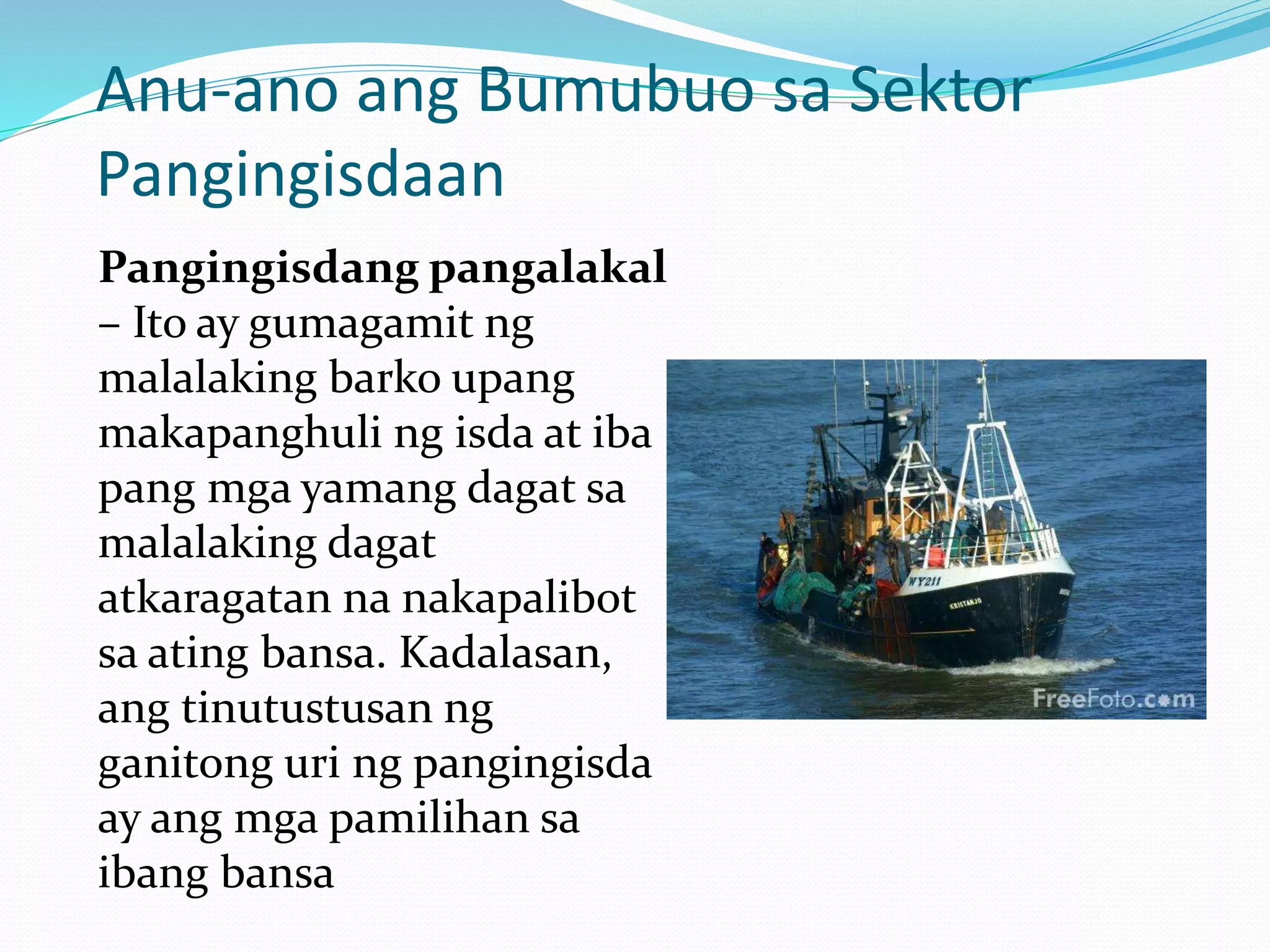 Sektor pangingisda | PPTX