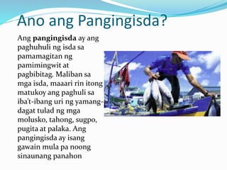 Sektor pangingisda | PPTX