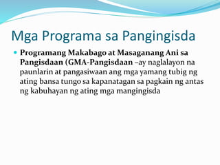 Sektor pangingisda | PPTX