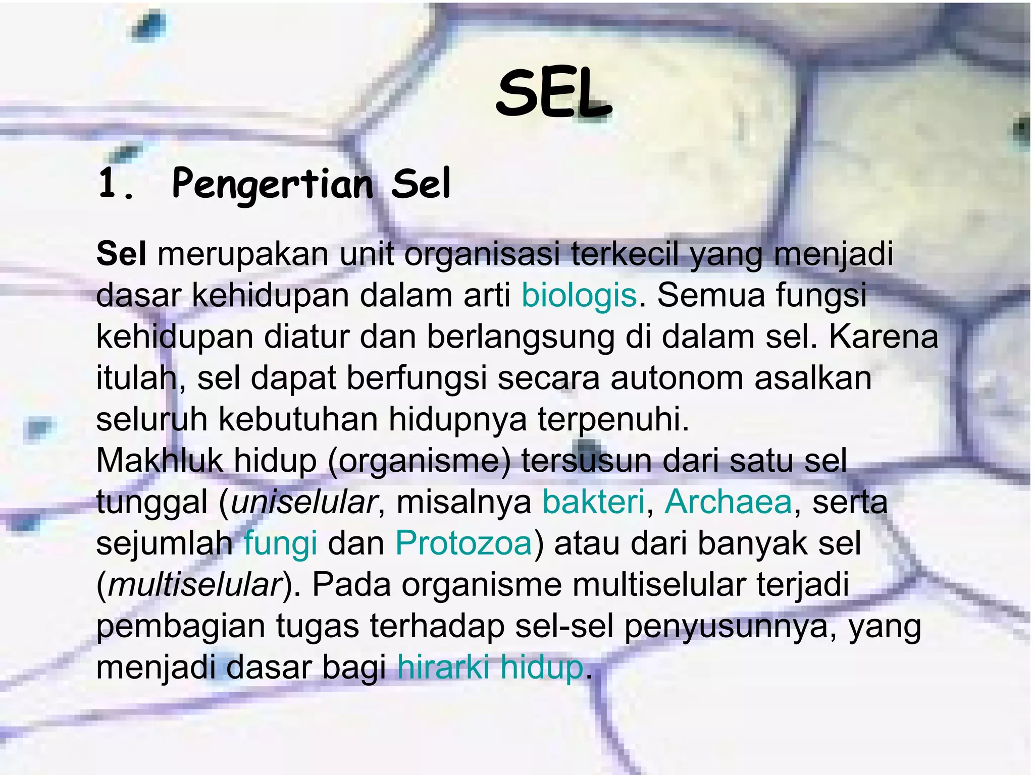 Sel | PPT