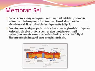 Teori dan Struktur Sel | PPTX