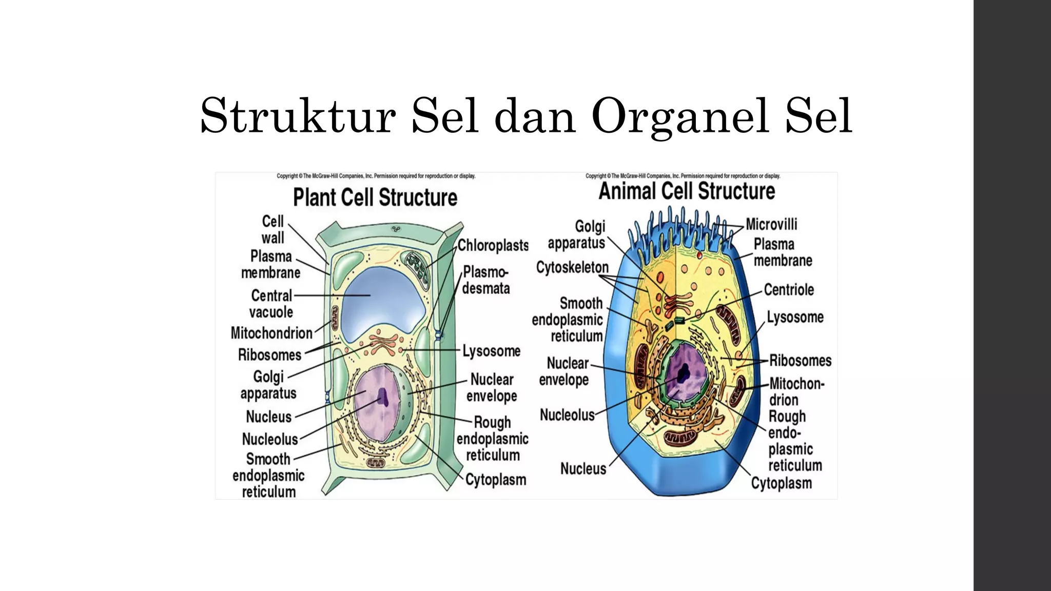 Biologi Sel kelas XI kurikulum 2013 ppt | PPT