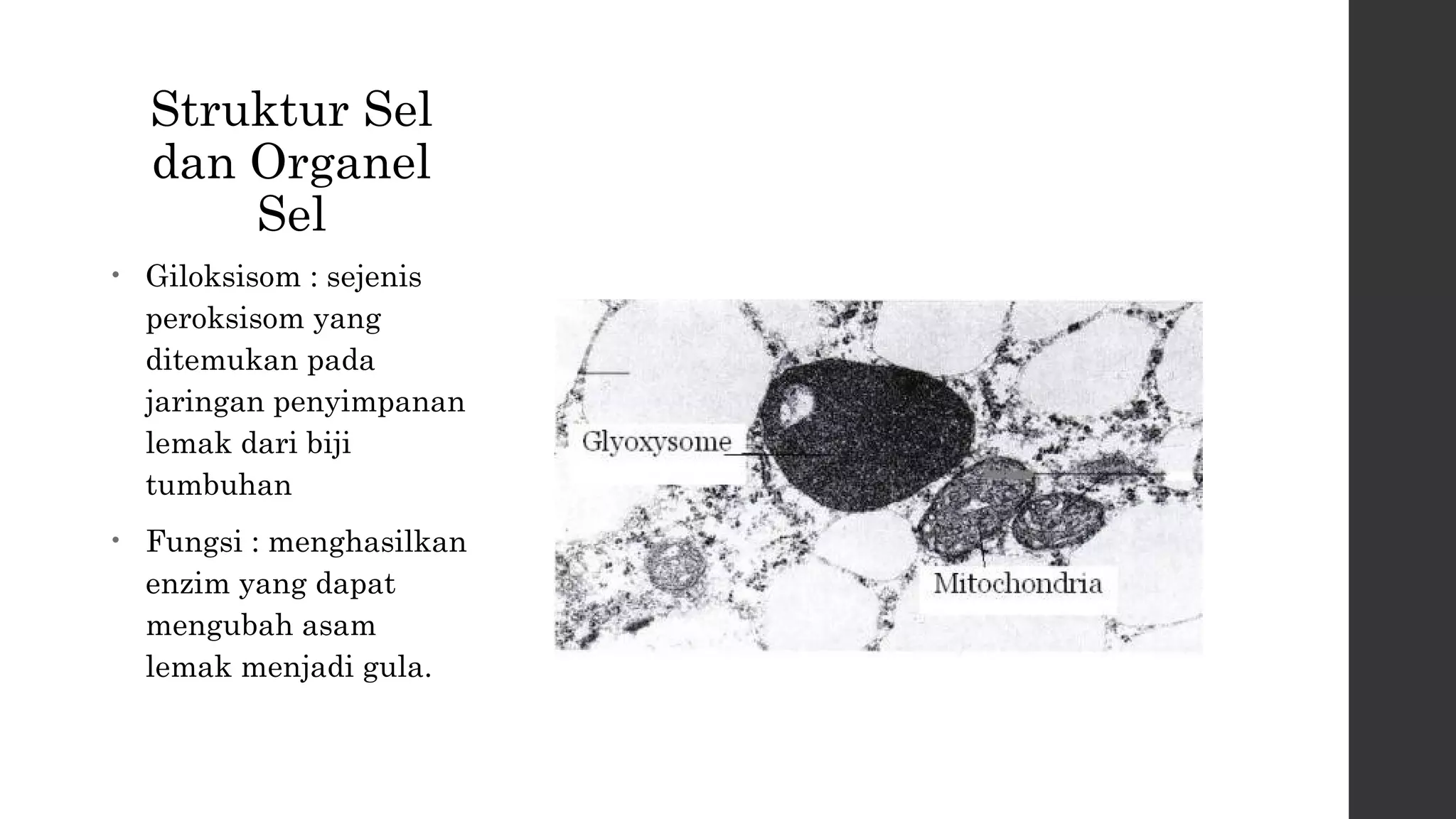 Biologi Sel kelas XI kurikulum 2013 ppt | PPT
